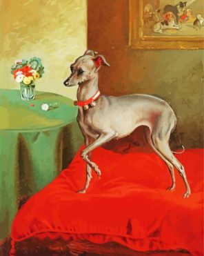 Italian Greyhound Paint By Numbers - Numeral Paint Kit
