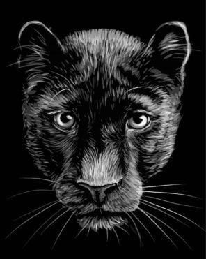 White And Black Panther Paint By Numbers - Numeral Paint Kit